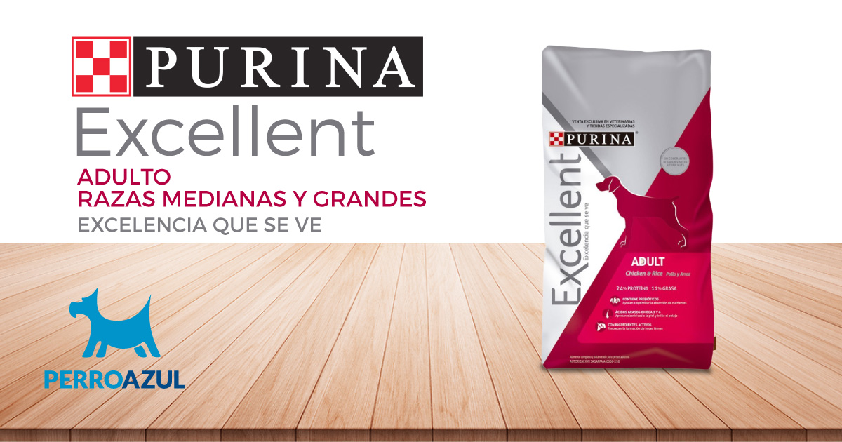 Purina Excellent Adulto Razas Medianas y Grandes 20kg | El Perro Azul
